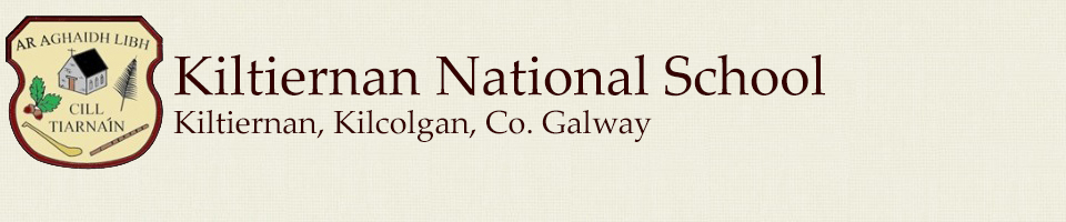Reading And Maths Drumcondra Tests Kiltiernan National School Reading And Maths Drumcondra Tests Kiltiernan National School